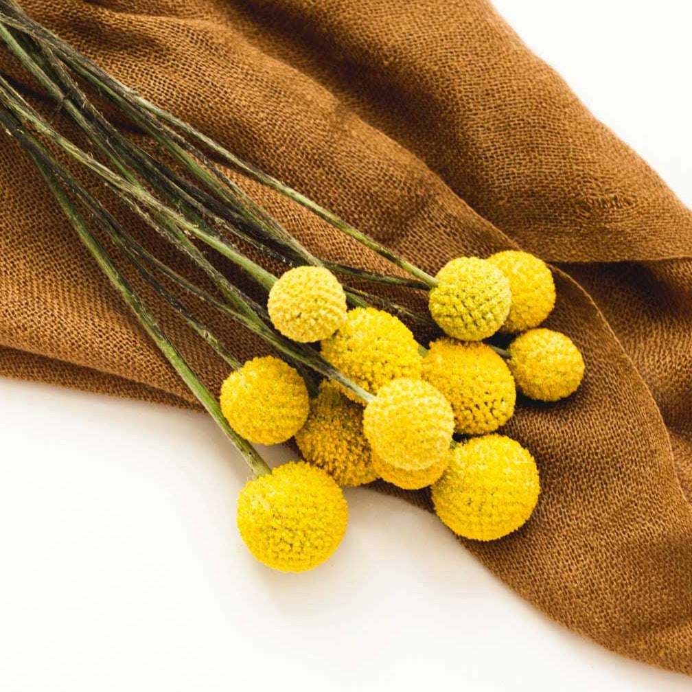 FATHER'S DAY IN JAPAN | NIMI PROJECTS – NiMi Projects