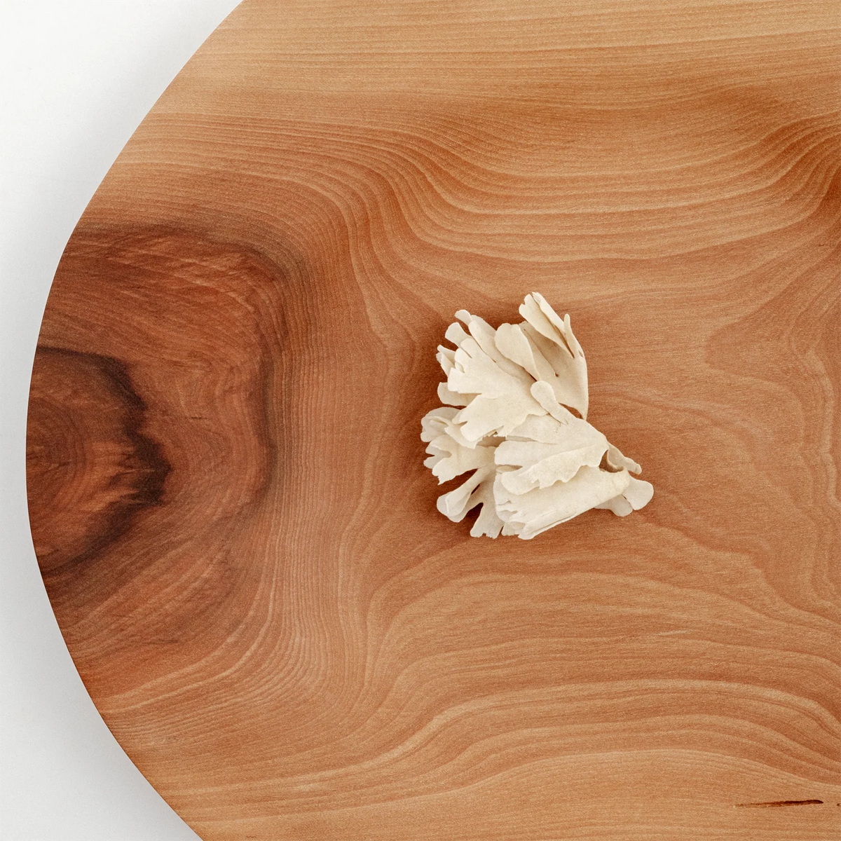 SOLMU PUUT | HANDCRAFTED YAKUSHIMA WOOD & URUSHI LACQUER WARE – NiMi ...